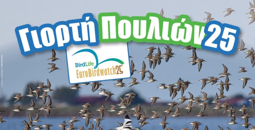 ΕΥΡΩΠΑΪΚΗ ΓΙΟΡΤΗ ΤΩΝ ΠΟΥΛΙΩΝ 2025 ΣΤΟ ΠΑΡΚΟ ΣΕΛΕΠΙΤΣΑΡΙ